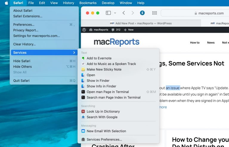 What is the Services Menu in macOS? • macReports