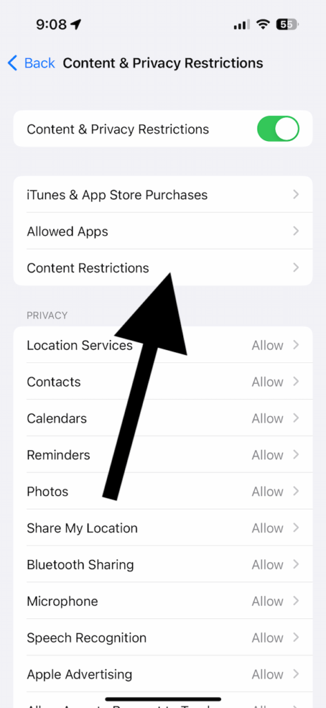 How to Block a Website on iPhone, iPad and Mac • macReports